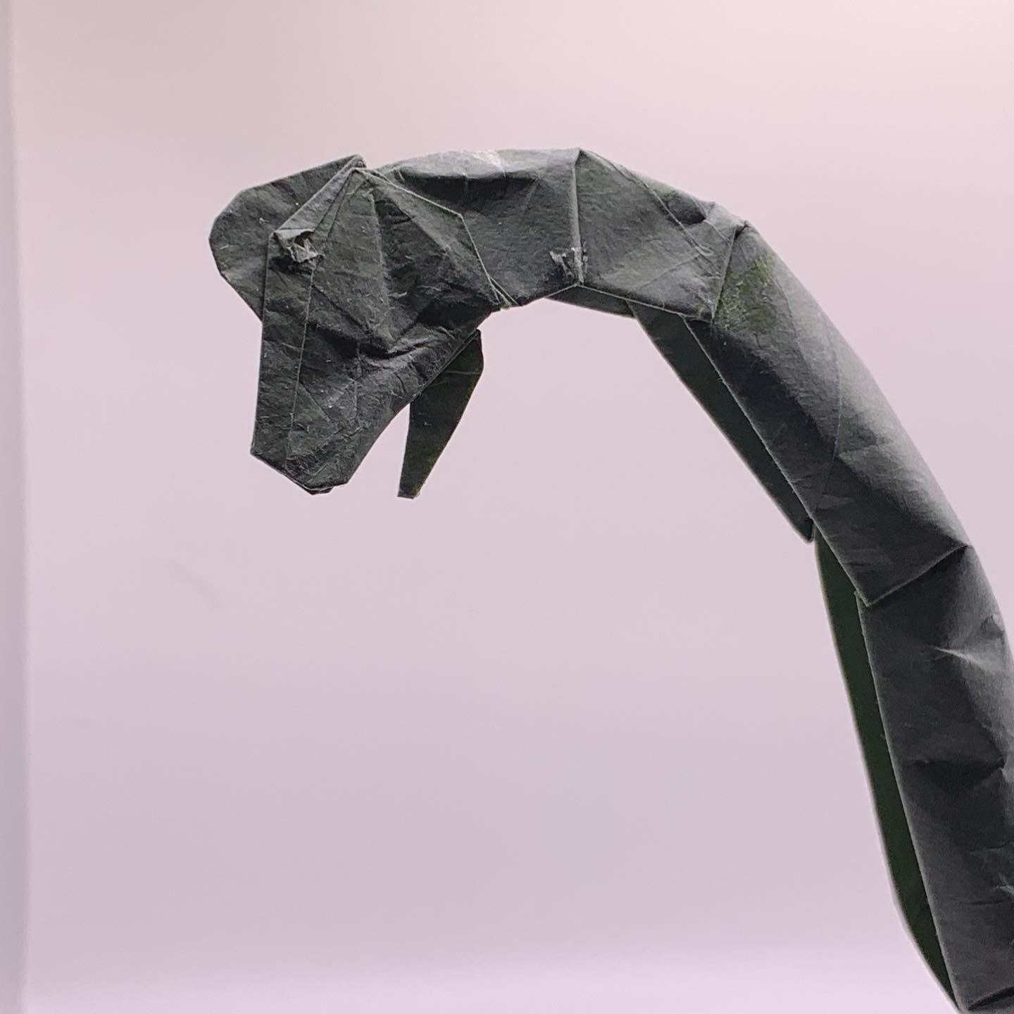 Origami Brachiosaurus - Etsy