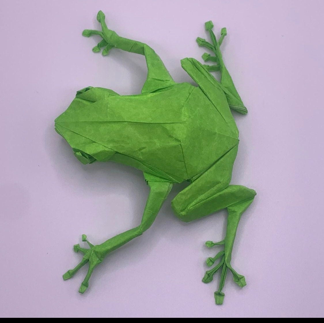 Origami Frog - Etsy