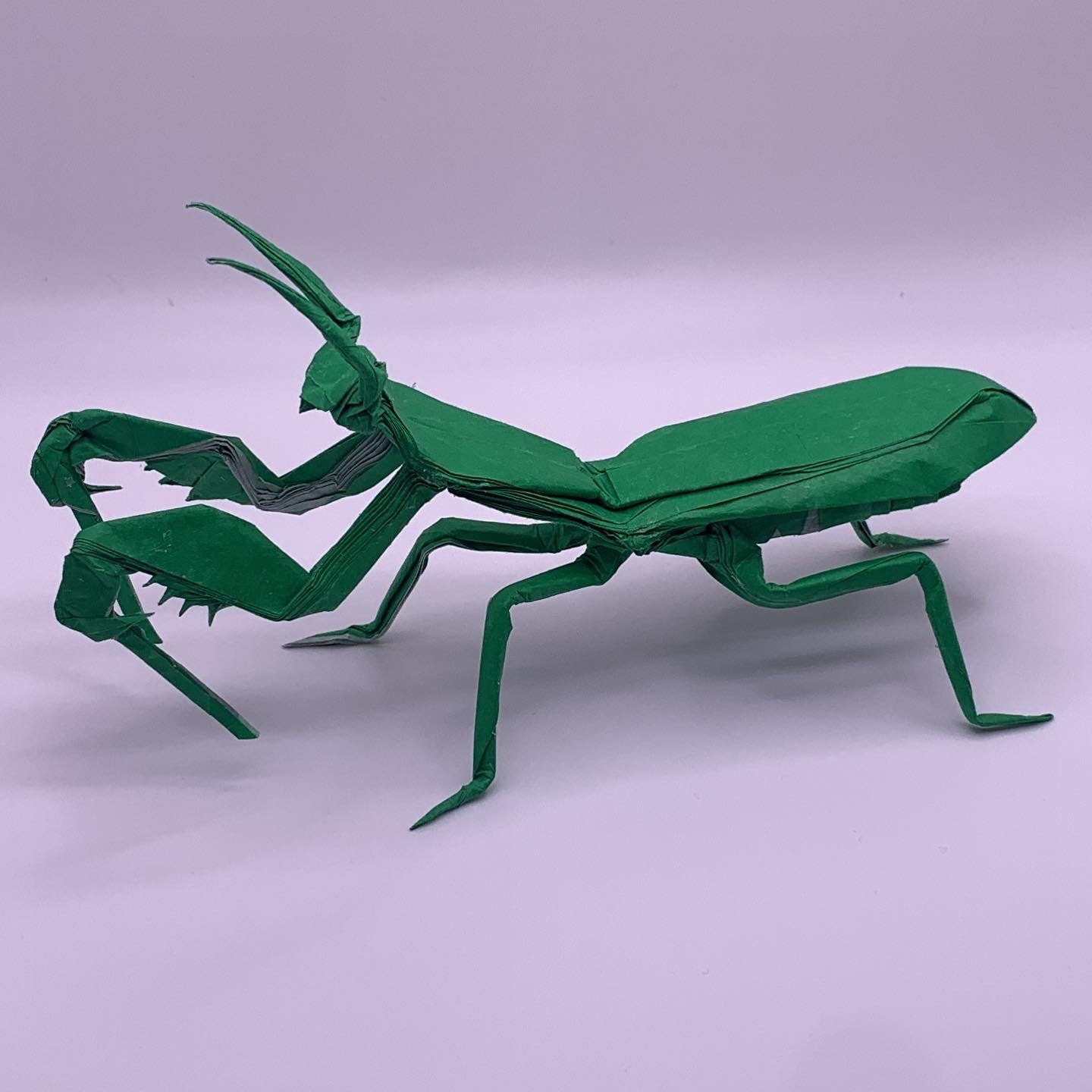 Origami Praying Mantis - Etsy
