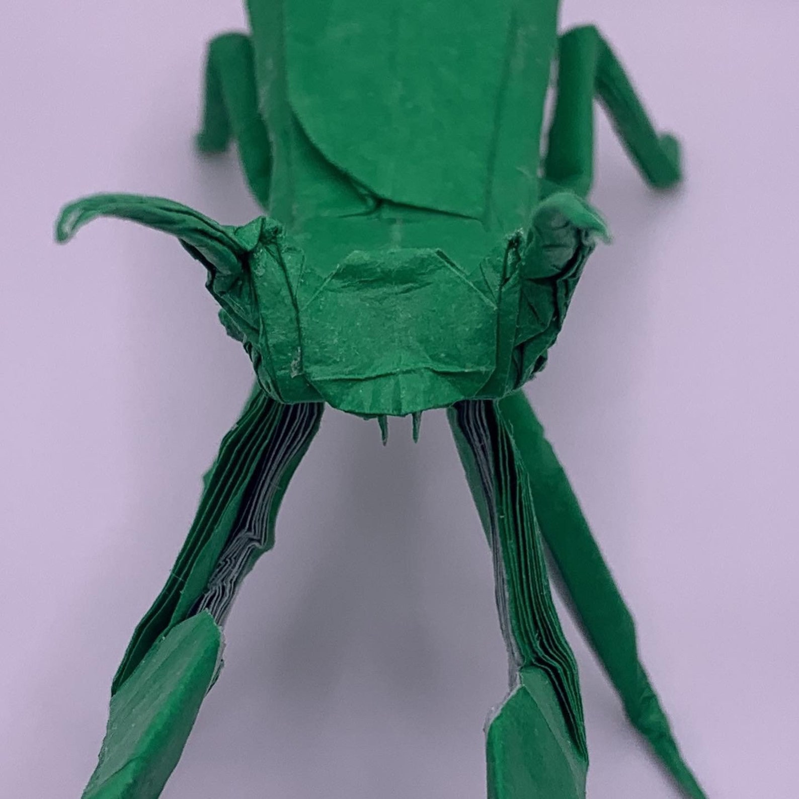 Origami Praying Mantis - Etsy