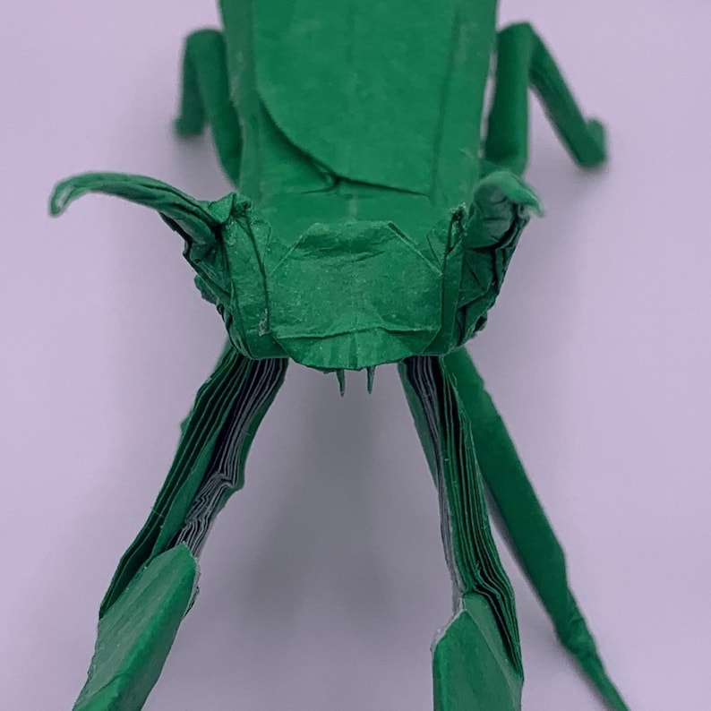 Origami Praying Mantis - Etsy