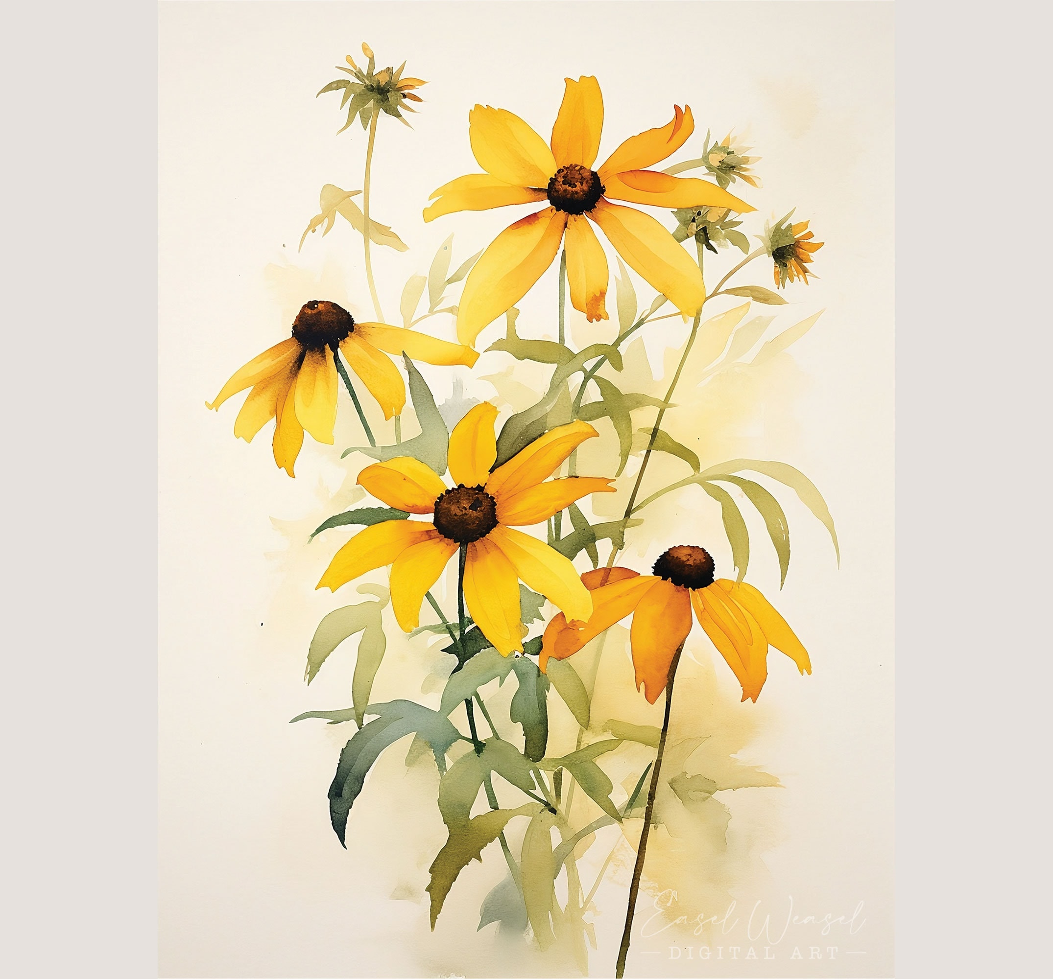 Black-eyed Susan Watercolor Art Print. Black-eyed Susan Wall Art ...