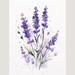 Lavender Watercolor Art Print. Lavender Home Decor. Lavender Kitchen ...