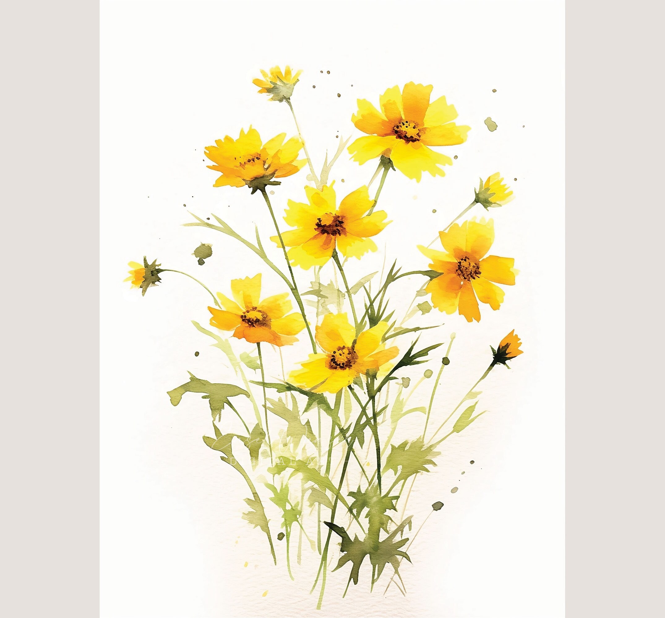 Coreopsis Watercolor Art Print. Coreopsis Wall Art. Coreopsis Kitchen ...