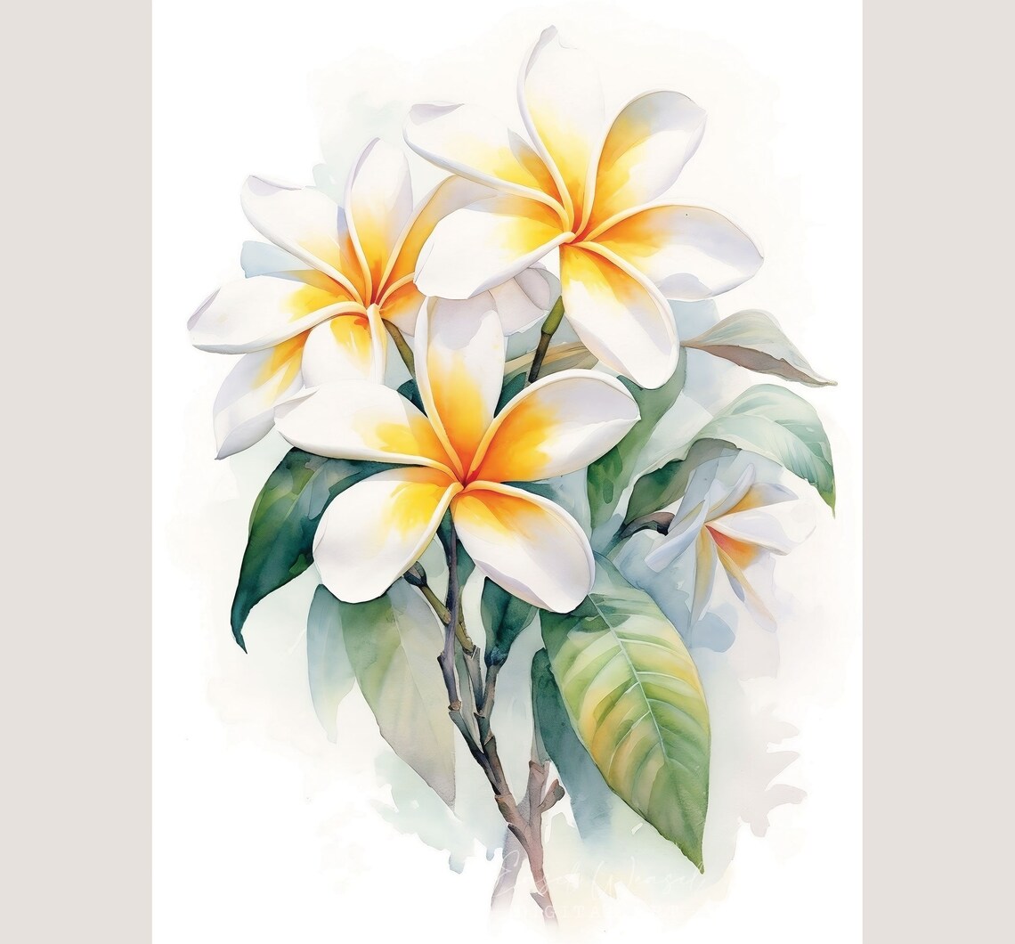 Plumeria Watercolor Art Print. Plumeria Wall Decor. Plumeria Kitchen ...