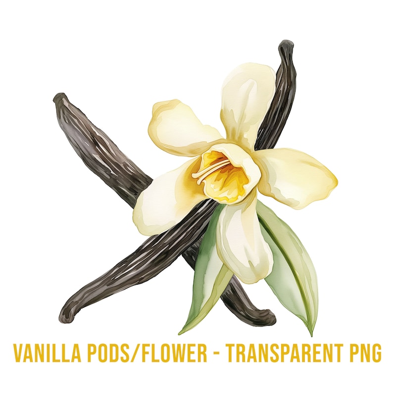 Label Cosmetic With Image - Etsy