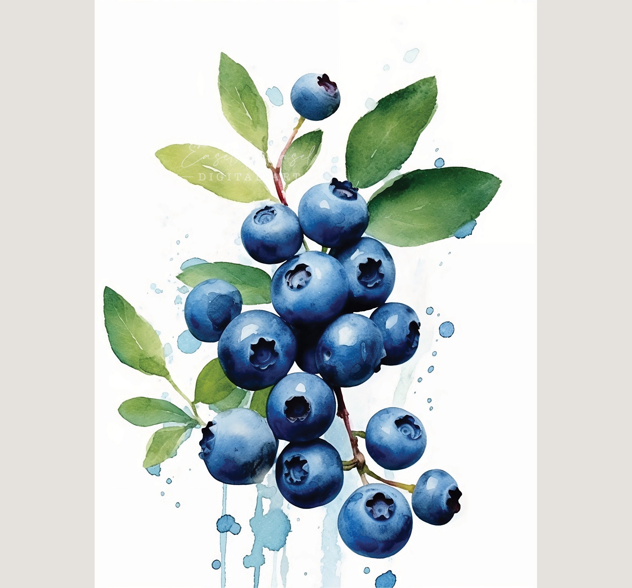 Blueberry Watercolor Art Print. Blueberries. Blueberry Home Decor ...