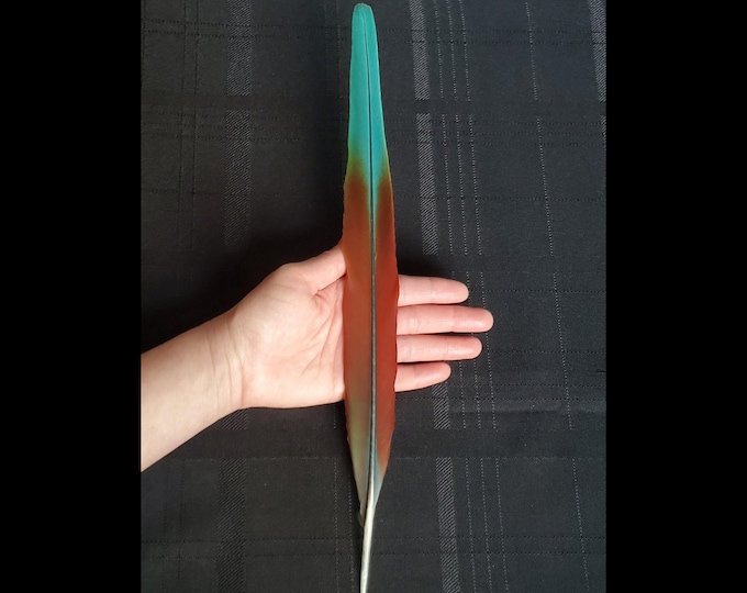 Macaw CENTER TAIL Feather, Long Red & Blue Parrot Tail Feather, Rare ...