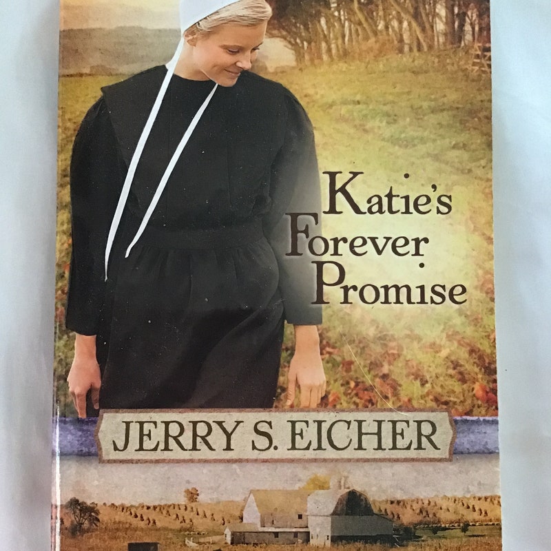Amish Books Paperback - Etsy