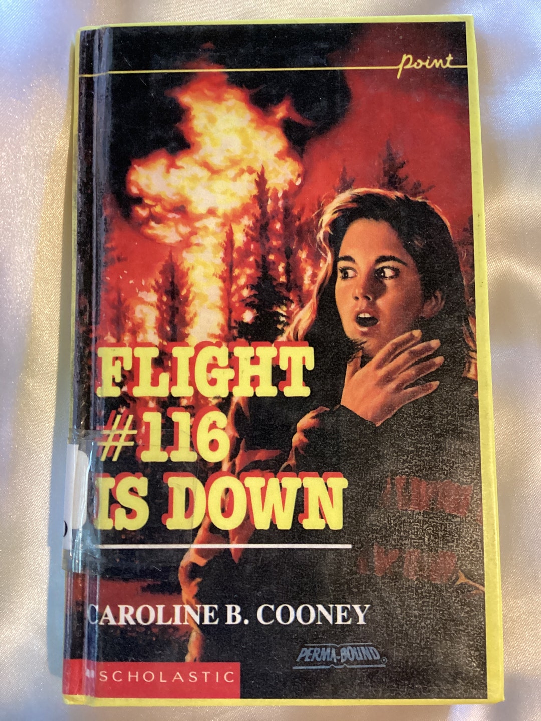 Caroline B Cooney Assortment of Harback and Paperback Novels-previously ...