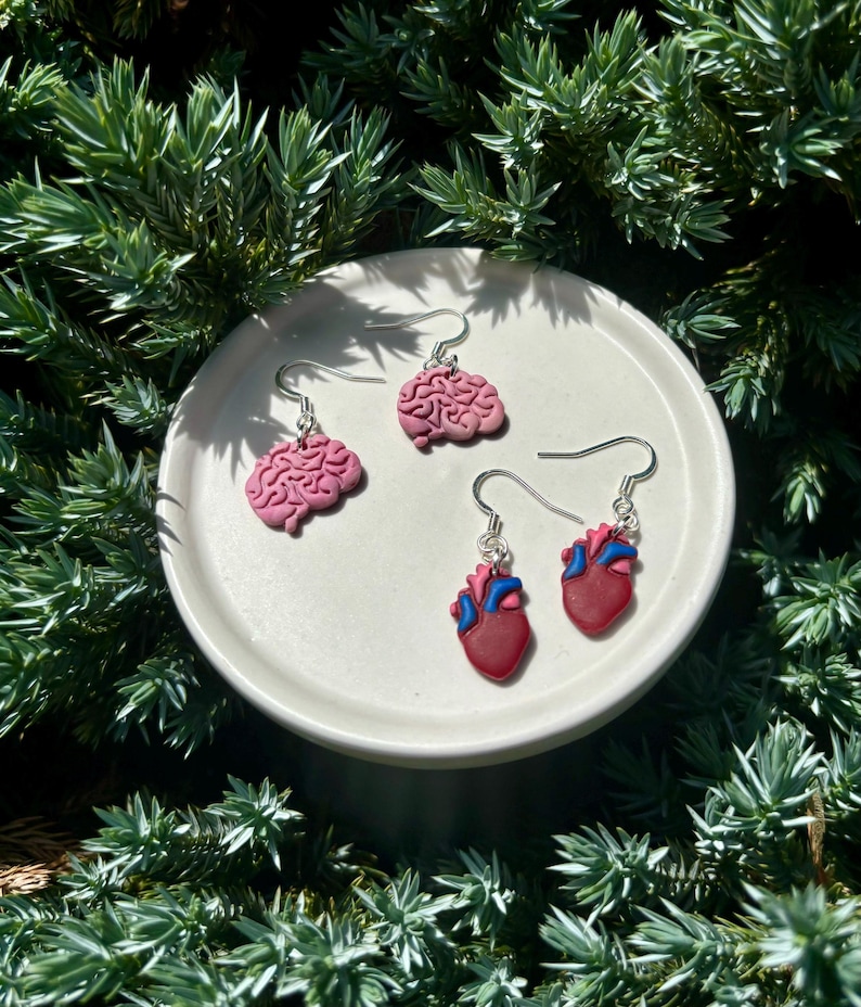 Handmade Anatomical Brain and Heart Clay Earrings: Nurse Doctor Gift - Etsy