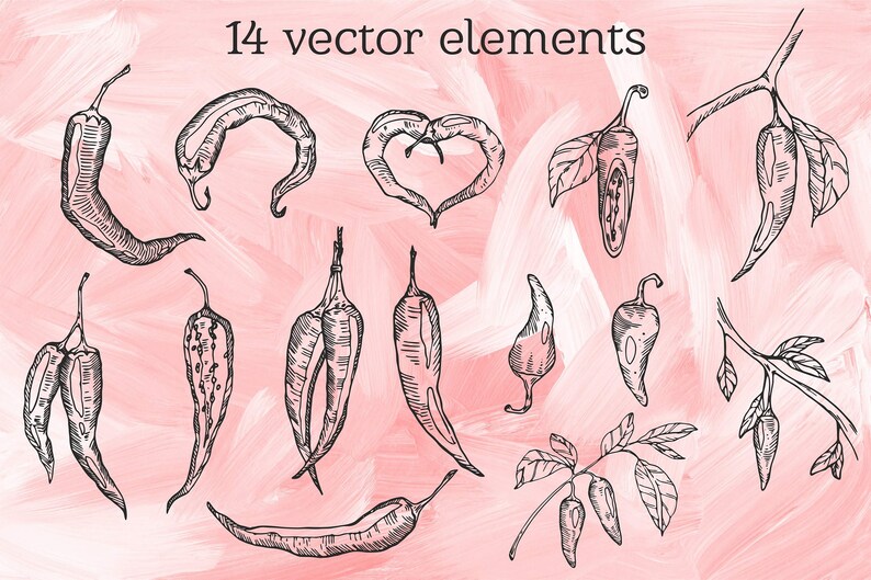 Chili Pepper SVG Pepper Svg Bundle Hand Drawn Pepper in - Etsy