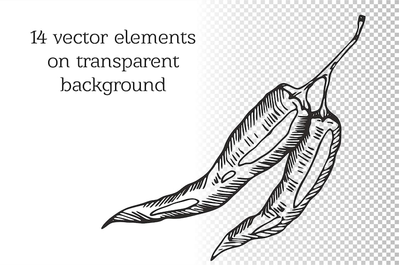 Chili Pepper SVG Pepper Svg Bundle Hand Drawn Pepper in - Etsy