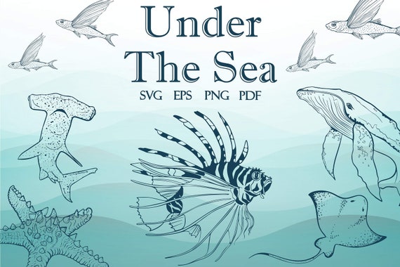 Ocean Animals SVG Bundle Sea Life Fish PNG Under the Sea - Etsy