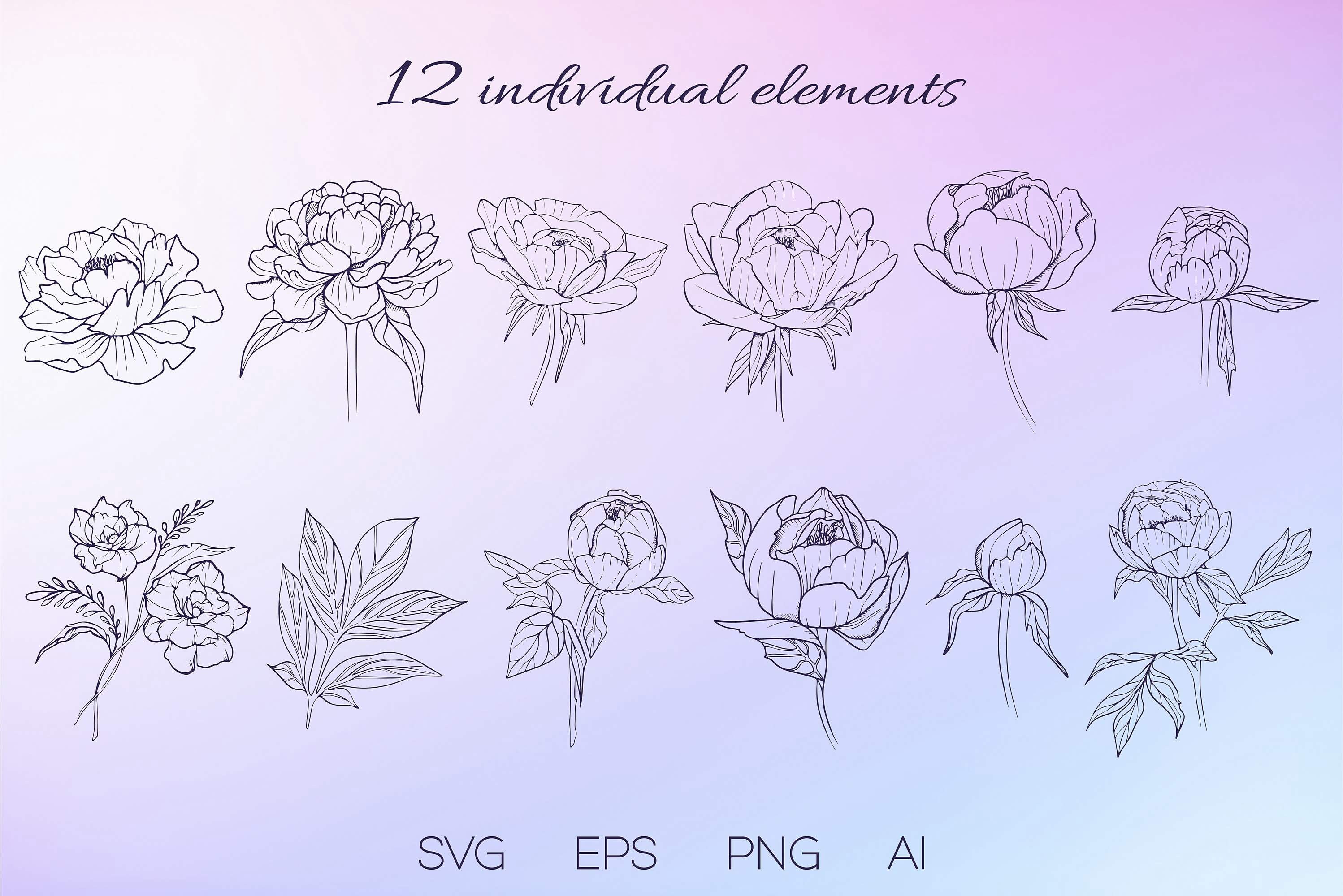 Peony Bouquet SVG, Peonies SVG Bundle, Botanical Clipart PNG, Peony ...