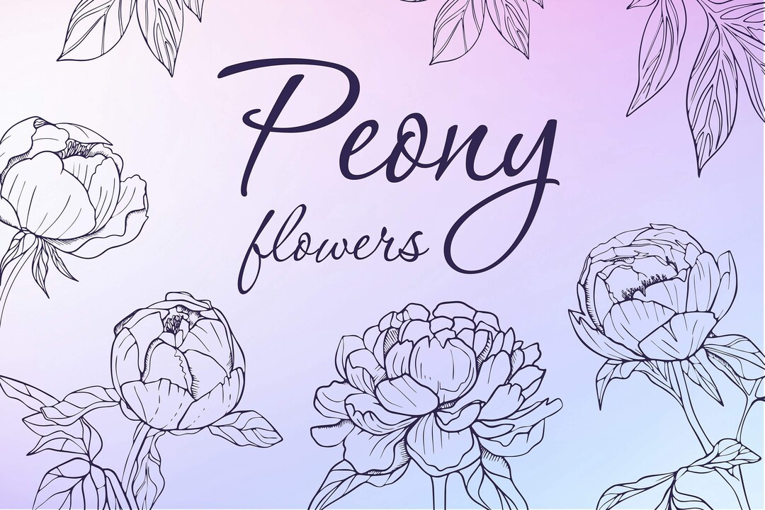 Peony Bouquet SVG, Peonies SVG Bundle, Botanical Clipart PNG, Peony ...