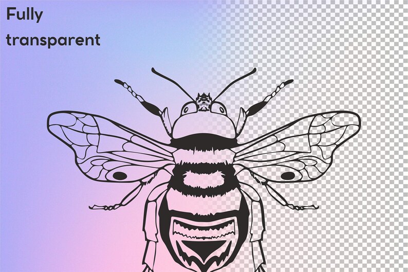 Bugs SVG Bundle, Insect SVG Clipart, Bug Vector Art, Vector Bugs for ...