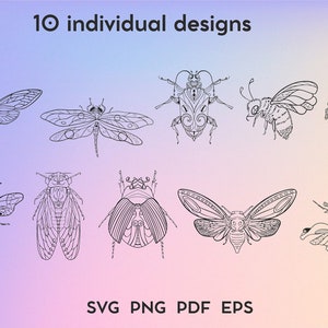 Bugs SVG Bundle, Insect SVG Clipart, Bug Vector Art, Vector Bugs for ...