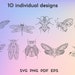 Bugs SVG Bundle, Insect SVG Clipart, Bug Vector Art, Vector Bugs for ...