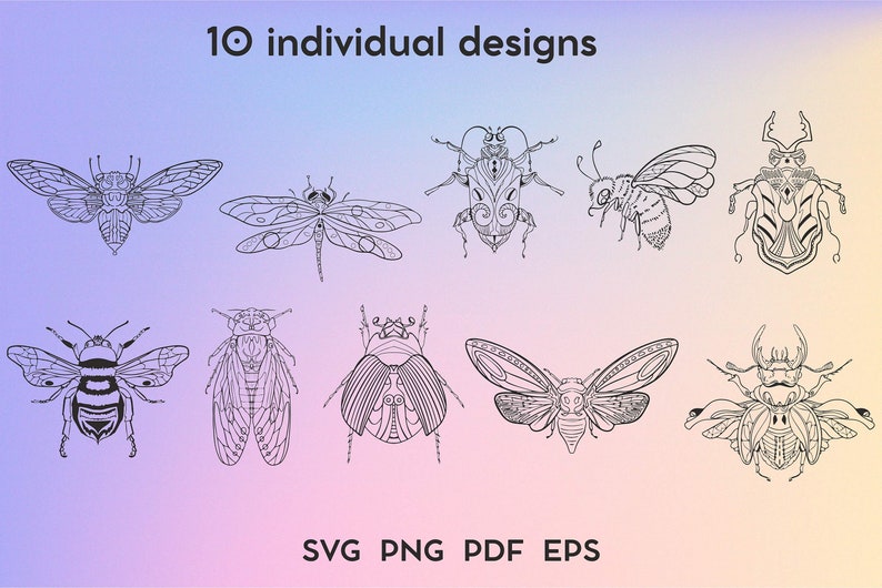 Bugs SVG Bundle, Insect SVG Clipart, Bug Vector Art, Vector Bugs for ...