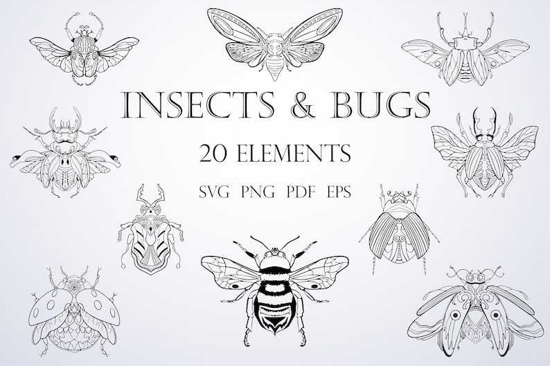 Insects SVG Bundle Bug SVG Beetle Clipart PNG Bee Print - Etsy