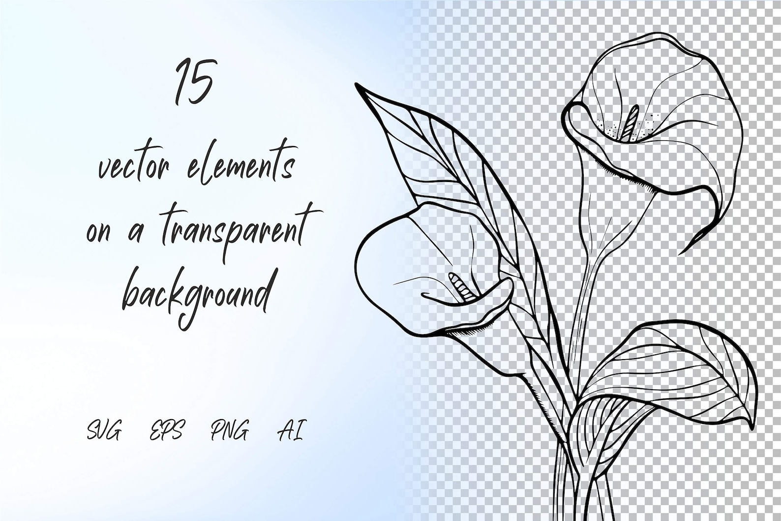 Calla Lily SVG Callas Flower SVG Bundle Botanical Clipart - Etsy