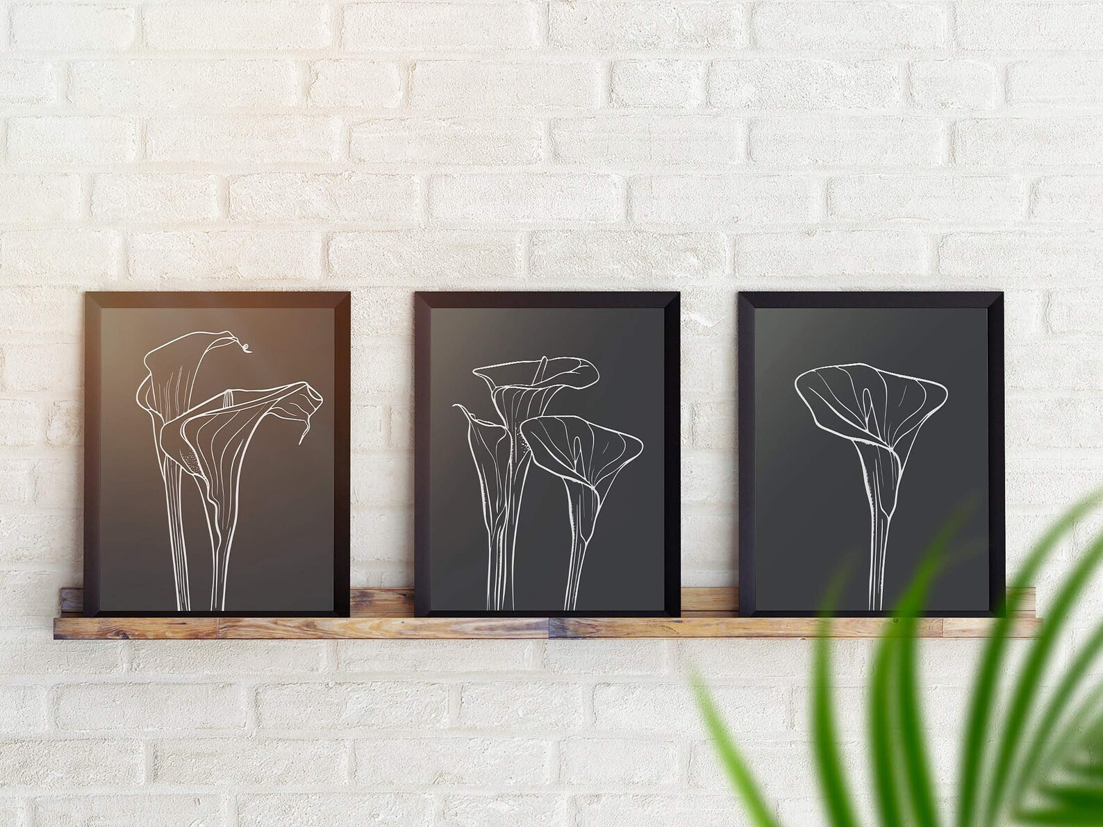 Calla Lily SVG Callas Flower SVG Bundle Botanical Clipart - Etsy