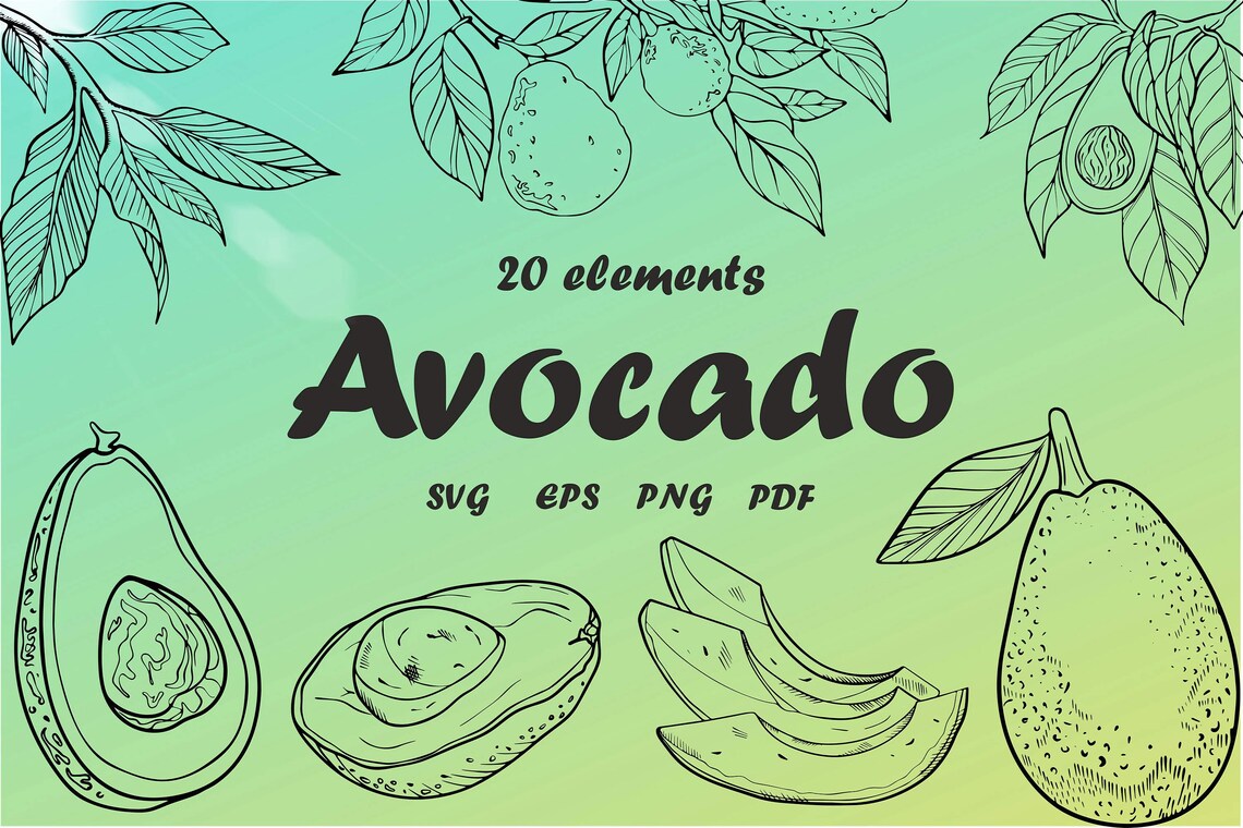 Avocado SVG Vector Bundle Transparent Avocado Fruit PNG - Etsy