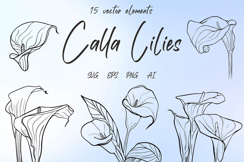 Calla Lily SVG, Callas Flower SVG Bundle, Botanical Clipart PNG, Calla ...