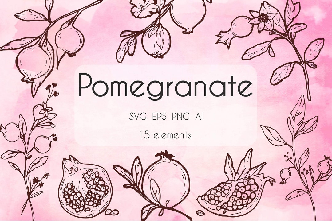 Pomegranate SVG, Hand Drawn Pomegranates PNG Illustration, Instant ...