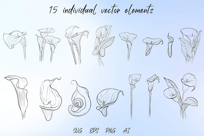 Calla Lily SVG Callas Flower SVG Bundle Botanical Clipart - Etsy