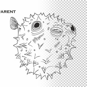 Puffer Fish SVG, Ocean Animals SVG, Startled Spiny Puffed Pufferfish ...