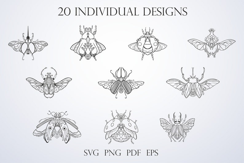 Insects SVG Bundle Bug SVG Beetle Clipart PNG Bee Print - Etsy
