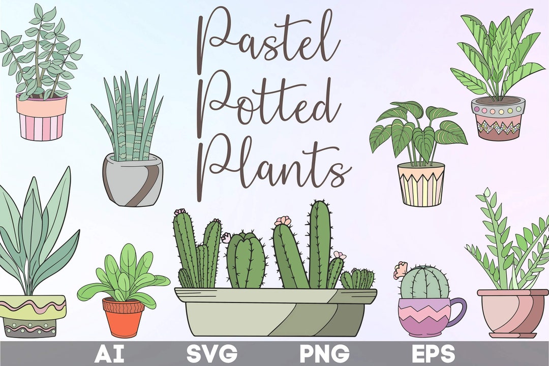 Potted Plants SVG Bundle, Hanging Flowers PNG, Plants in Pots Svg ...
