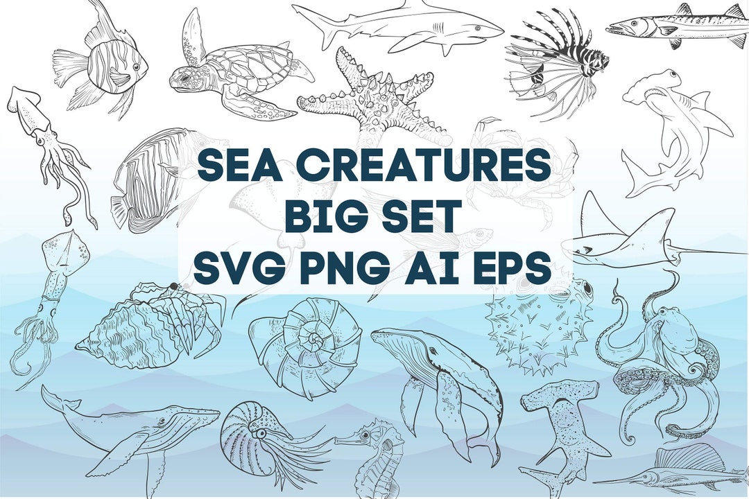 Sea Creatures SVG Bundle, Sea Life Fish PNG, Under the Sea Creatures ...