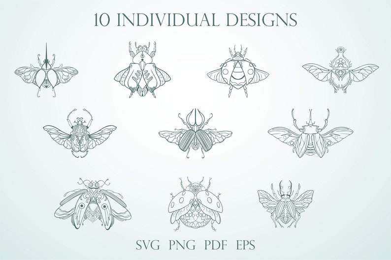 Bugs SVG Insects SVG Bundle Beetle Clipart PNG Bee Print - Etsy México