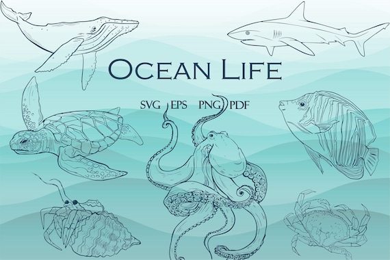 Ocean Animals SVG Bundle Sea Life Fish PNG Under the Sea - Etsy