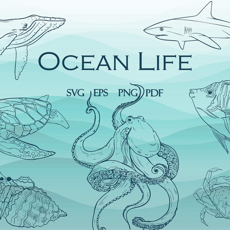 Ocean Animals Svg - Etsy
