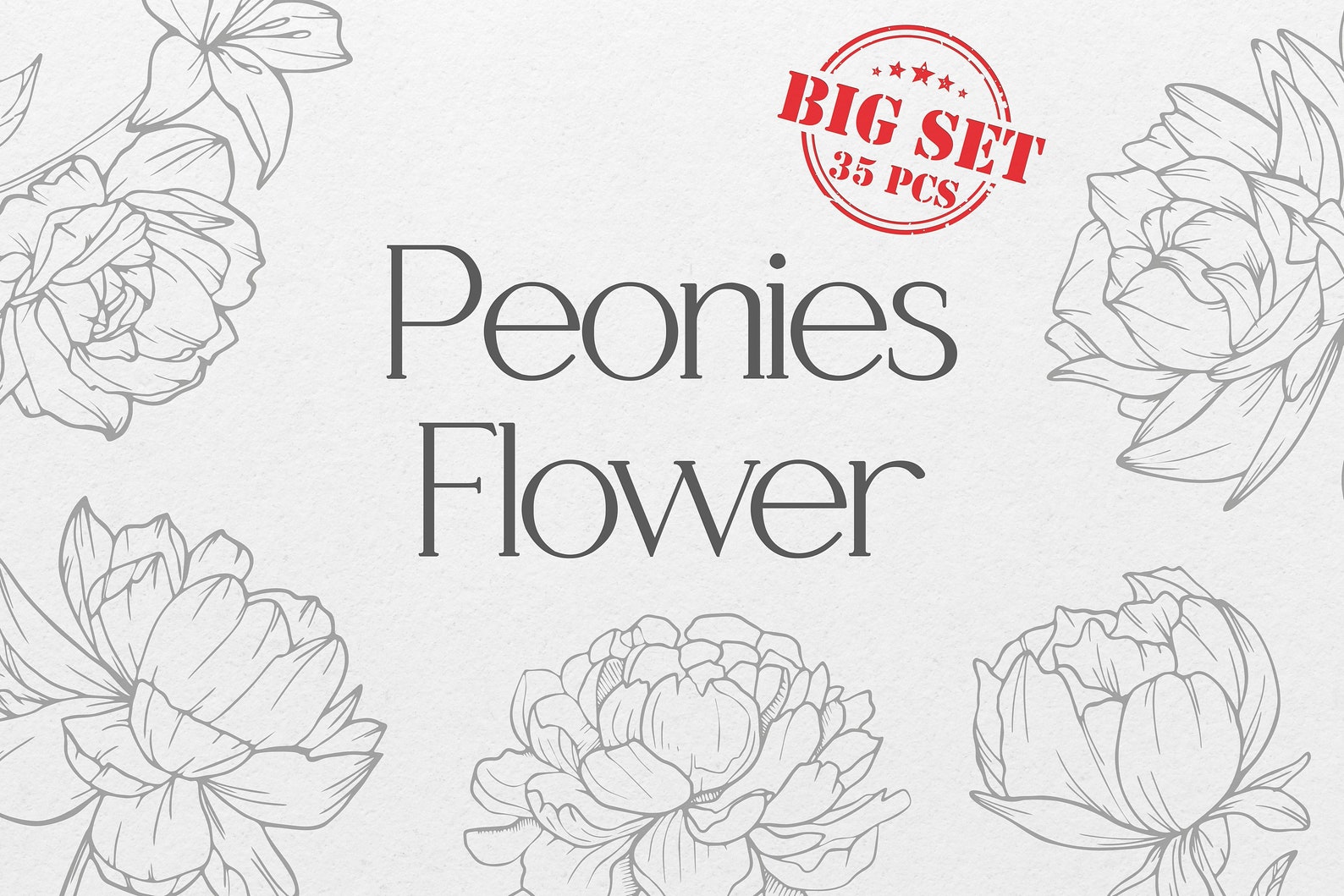 Peony Painting SVG Clipart | Peonies Line Art SVG | Peony Flower Hand ...