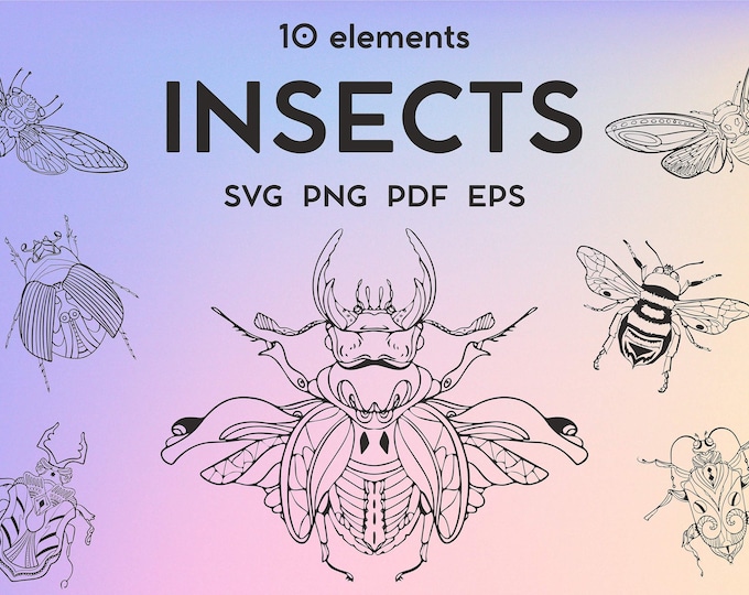 Bug With Sunglasses Svg Bug Wearing Sunglasses Png Bug With Glasses ...