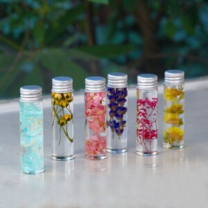 Set of 4 Mini Herbarium Bottles, Mother's Day Gift, Japanese Herbarium ...