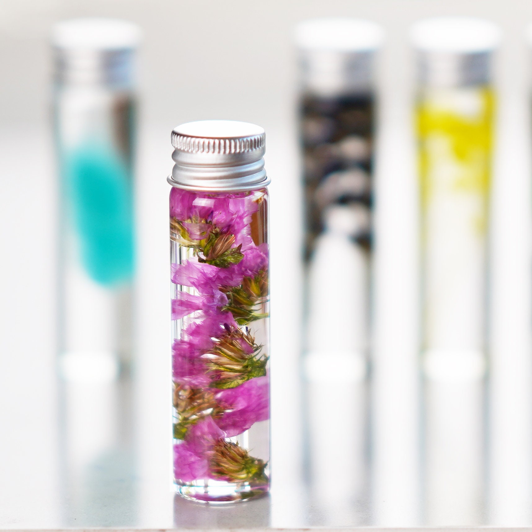 Set of 4 Mini Herbarium Bottles, Mother's Day Gift, Japanese Herbarium ...