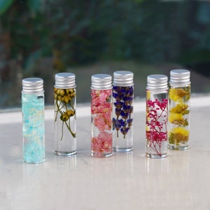 Set of 4 Mini Herbarium Bottles, Mother's Day Gift, Japanese Herbarium ...