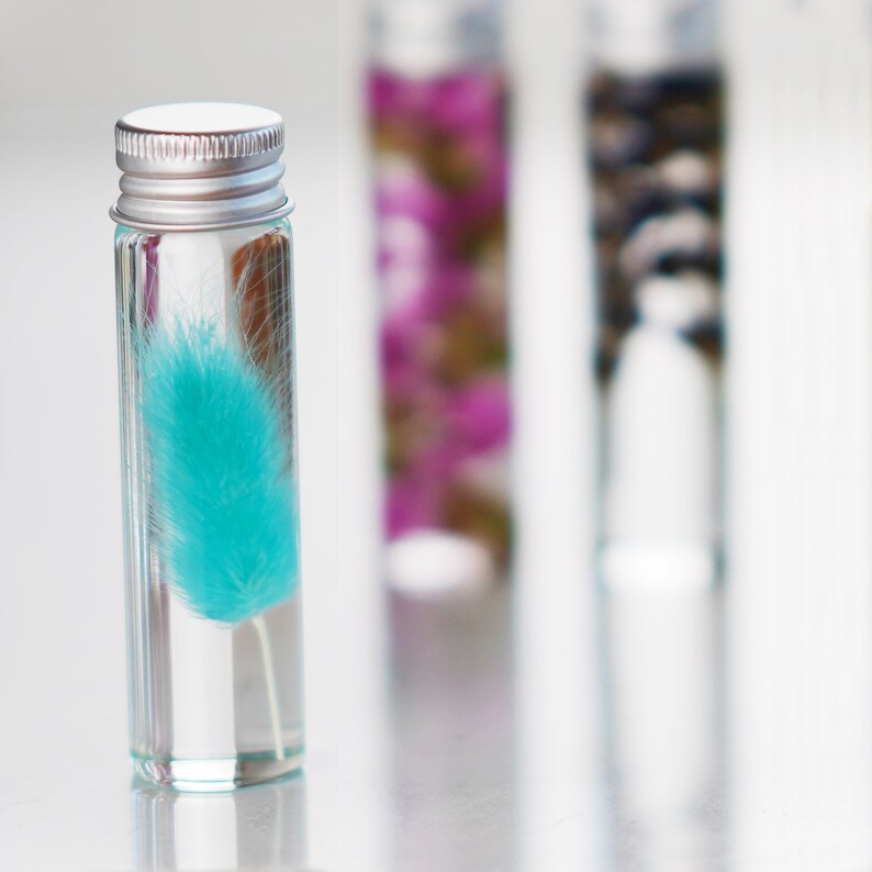 Set of 4 Mini Herbarium Bottles, Mother's Day Gift, Japanese Herbarium ...