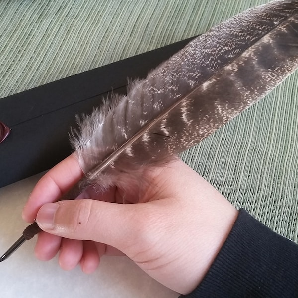 Quill Pen - Etsy