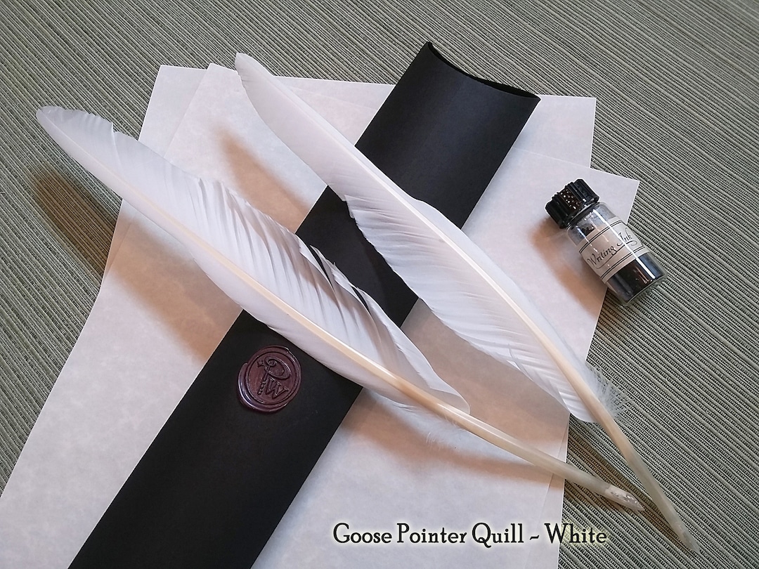 Hand-cut Goose Quill Pen Gift Set - Ink and Gift Box Included! - Etsy