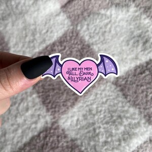 Book Sticker | I Like My Men Tall Dark & Illyrian Sticker | Matte ...