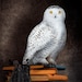 Snowy Owl PRINTABLE | Magical Wizard Nursery Room Decor | Fantasy Magic ...