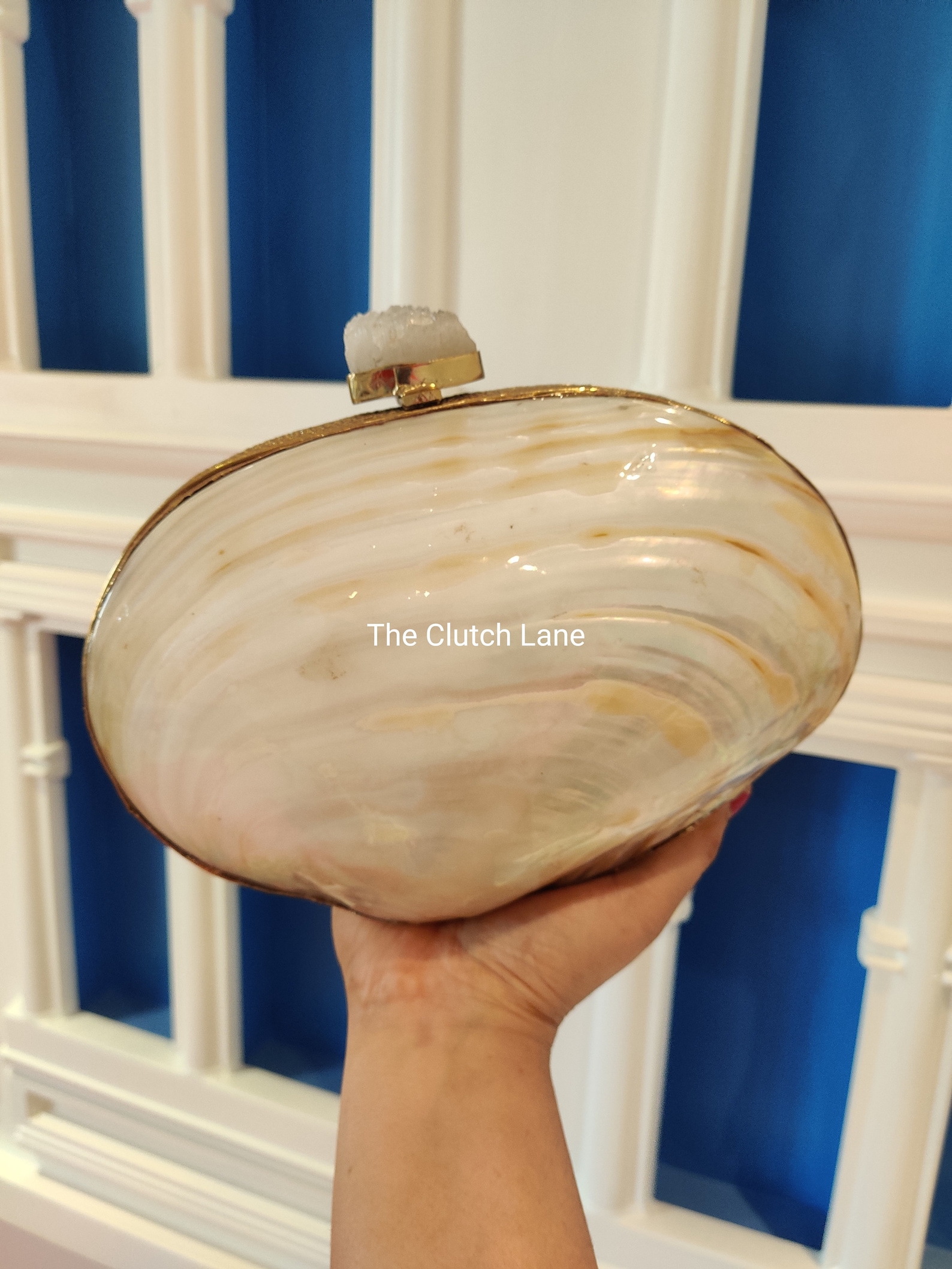 Shell Brass Clutch Extra Large - Etsy
