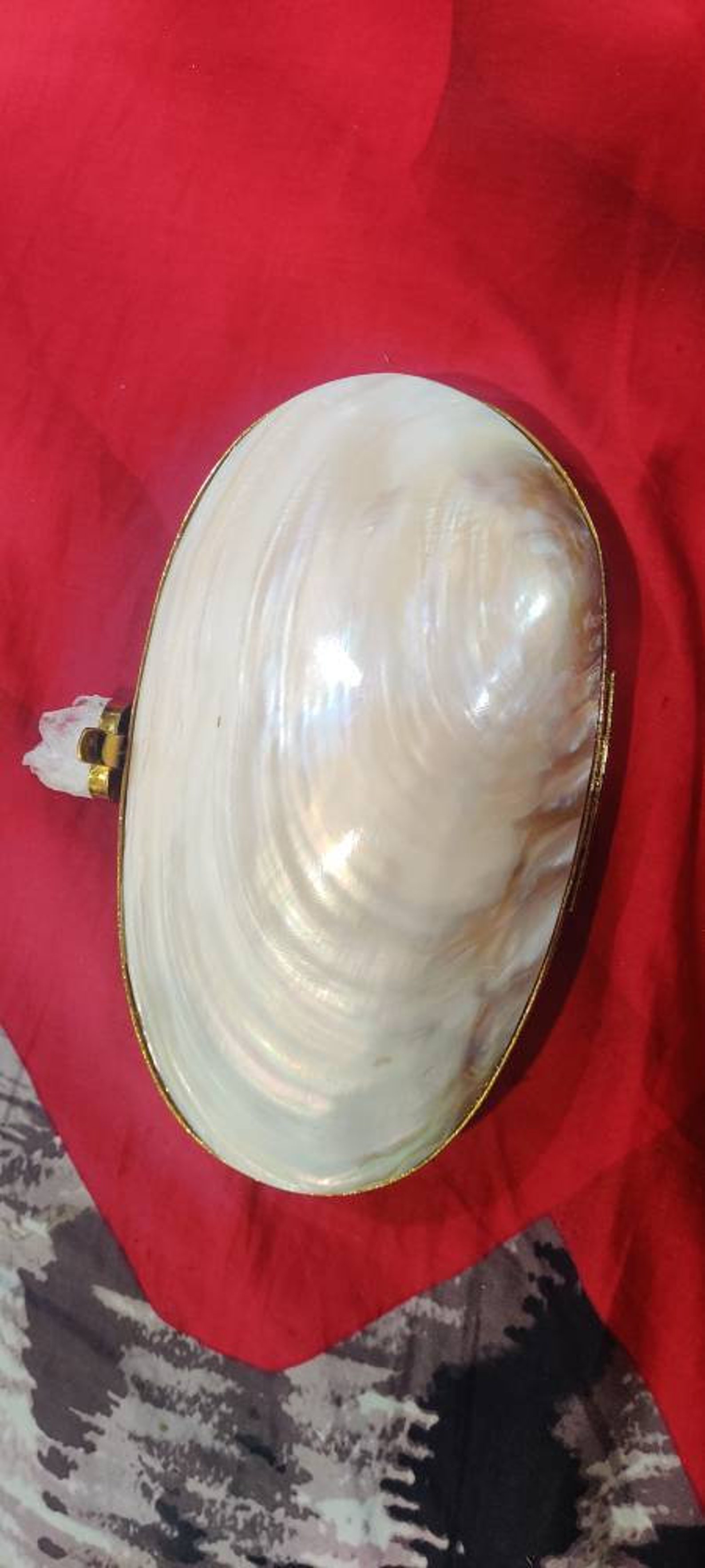 Shell Brass Clutch - Etsy